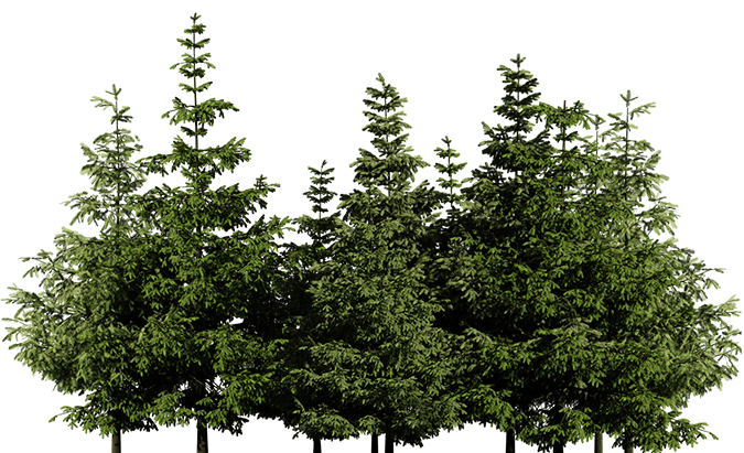 Andre Reece Hafer Obituary (1992 - 2025)